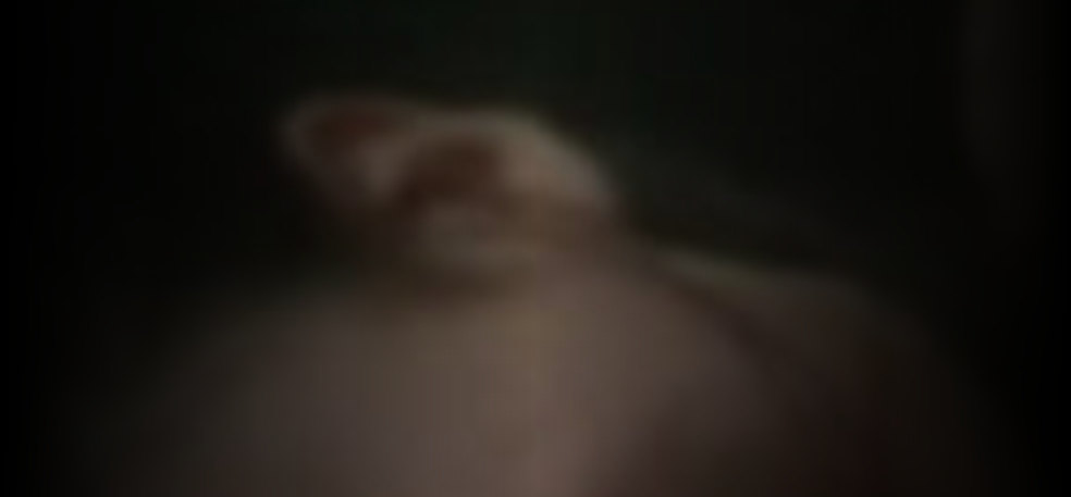 See Shôko Nakahara Nude Shôko Nakahara Naked Mr Skin