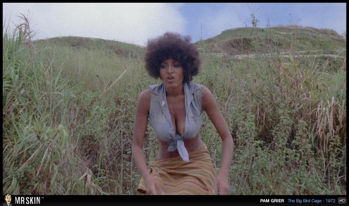 Tbt To Pam Griers Badass Nudity