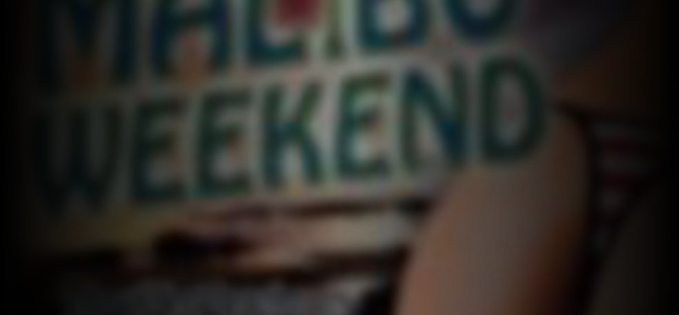 Top Wild Malibu Weekend Nude Scenes Sexiest Pics And Clips Mr Skin