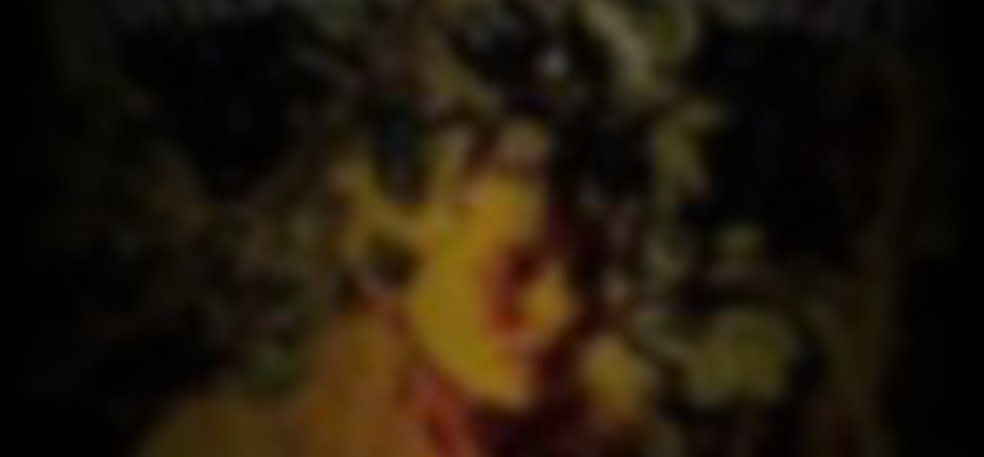 Hottest Twilight Of The Ice Nymphs Nudity Watch Clips And See Pics Mr Skin