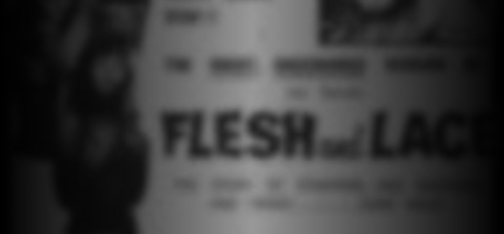 Top Flesh And Lace Nude Scenes Sexiest Pics And Clips Mr Skin