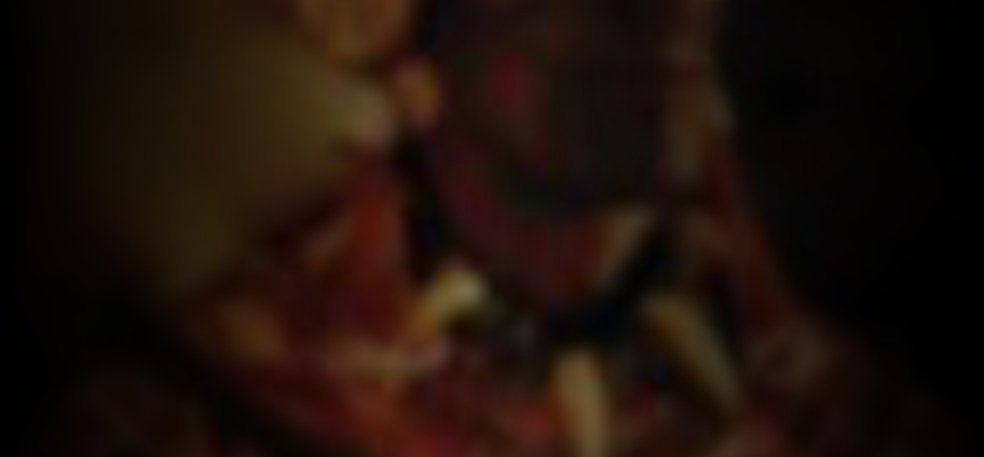 Sexiest Shaka Zulu Nude Scenes Top Pics And Videos Mr Skin