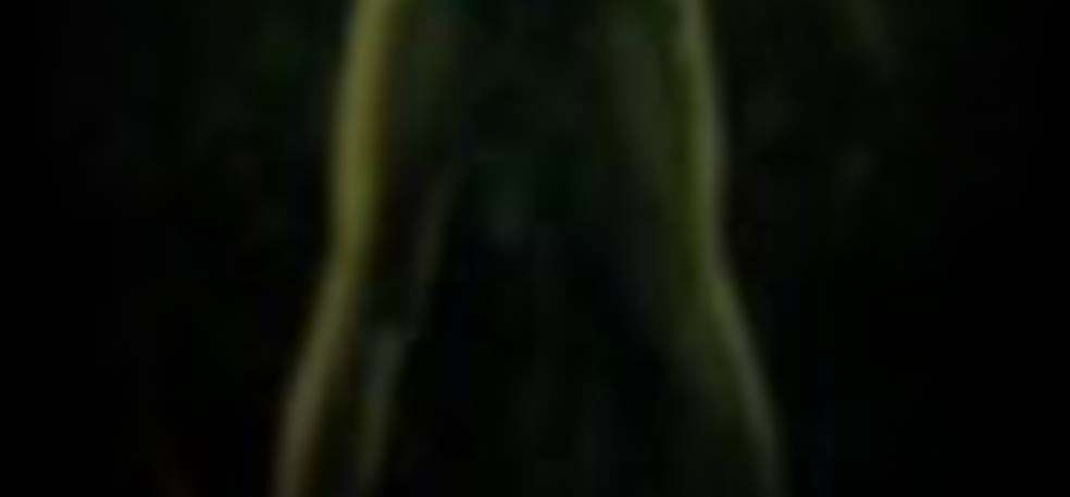Top Piranha 3d Nude Scenes Sexiest Pics And Clips Mr Skin